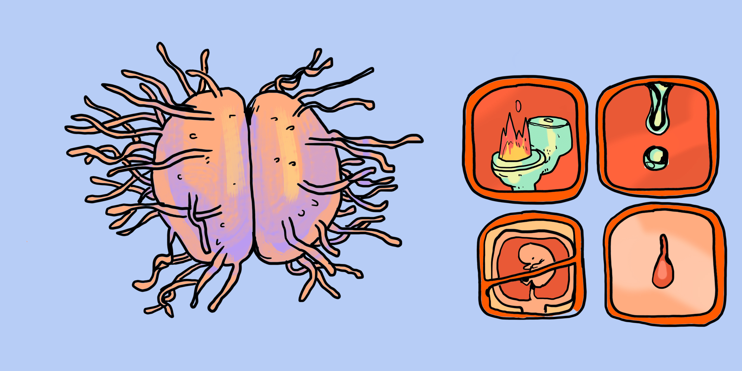 The Dangers of Gonorrhea and How It Is Treated | № 1794 | Healthy ...