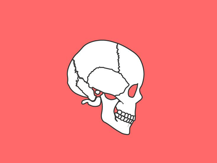 Mengenal Struktur Tulang Kaki: Fungsi dan Anatomi Lengkap | № 419630 ...