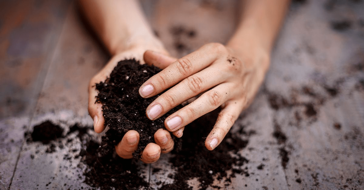 Eating Dirt in 2025: Costs, Risks, and Unexpected Benefits Explained ...
