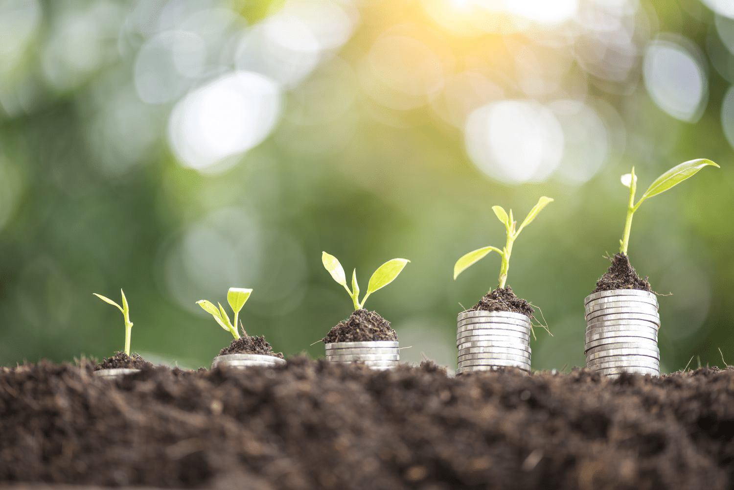 2025 Annuity Table Guide: Calculate Present Value with Examples and ...