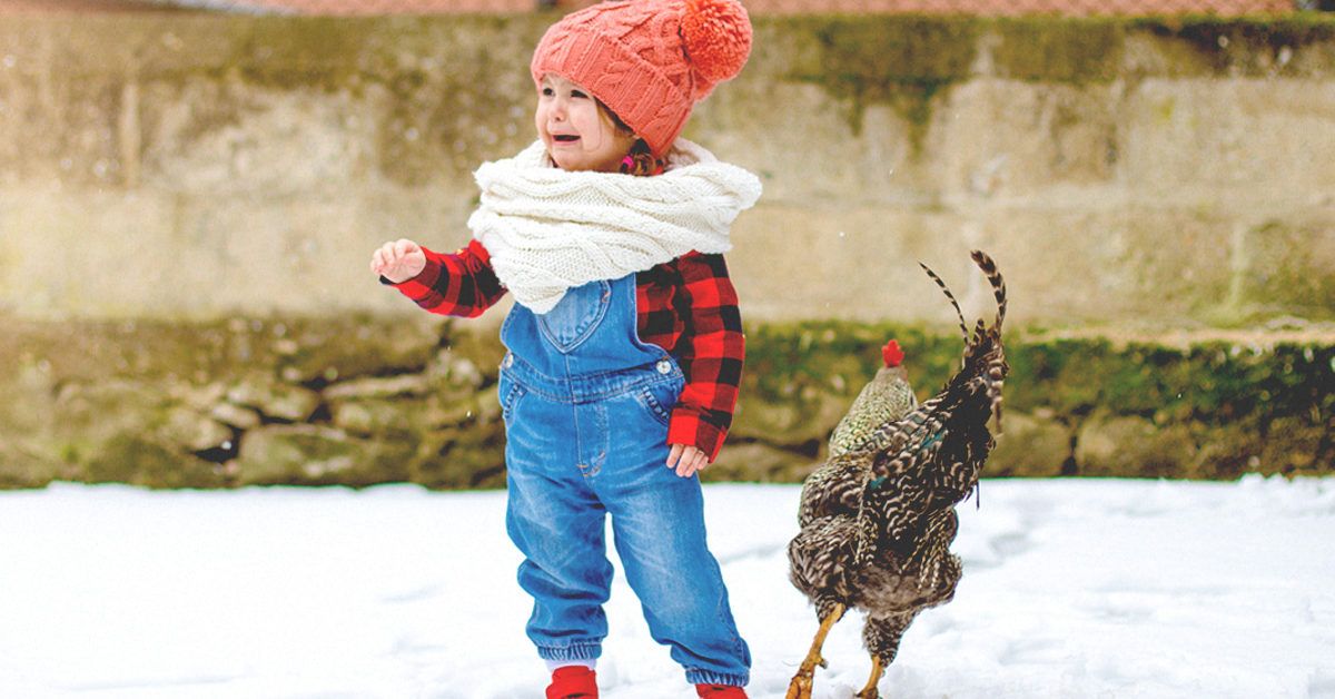 Alektorophobia Fear of Chickens in 2025: Causes, Symptoms & Affordable ...